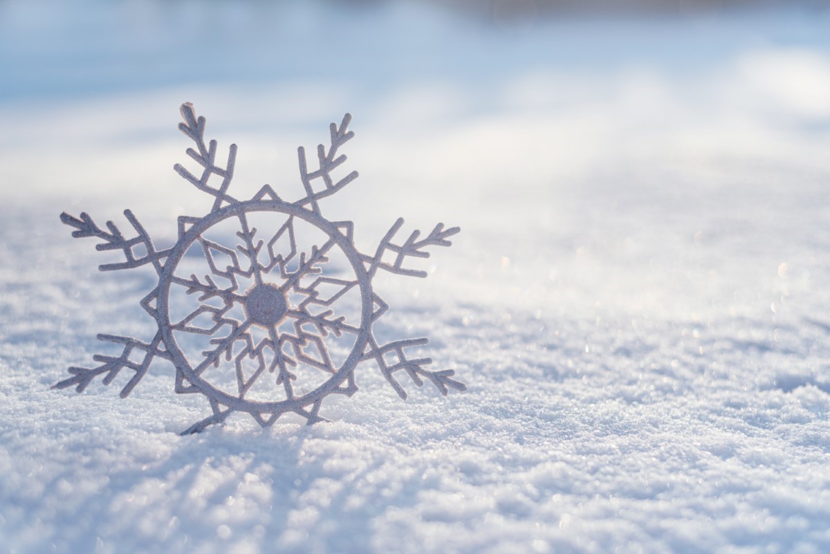 Dimensions et secrets du plus gros flocon de neige jamais observé